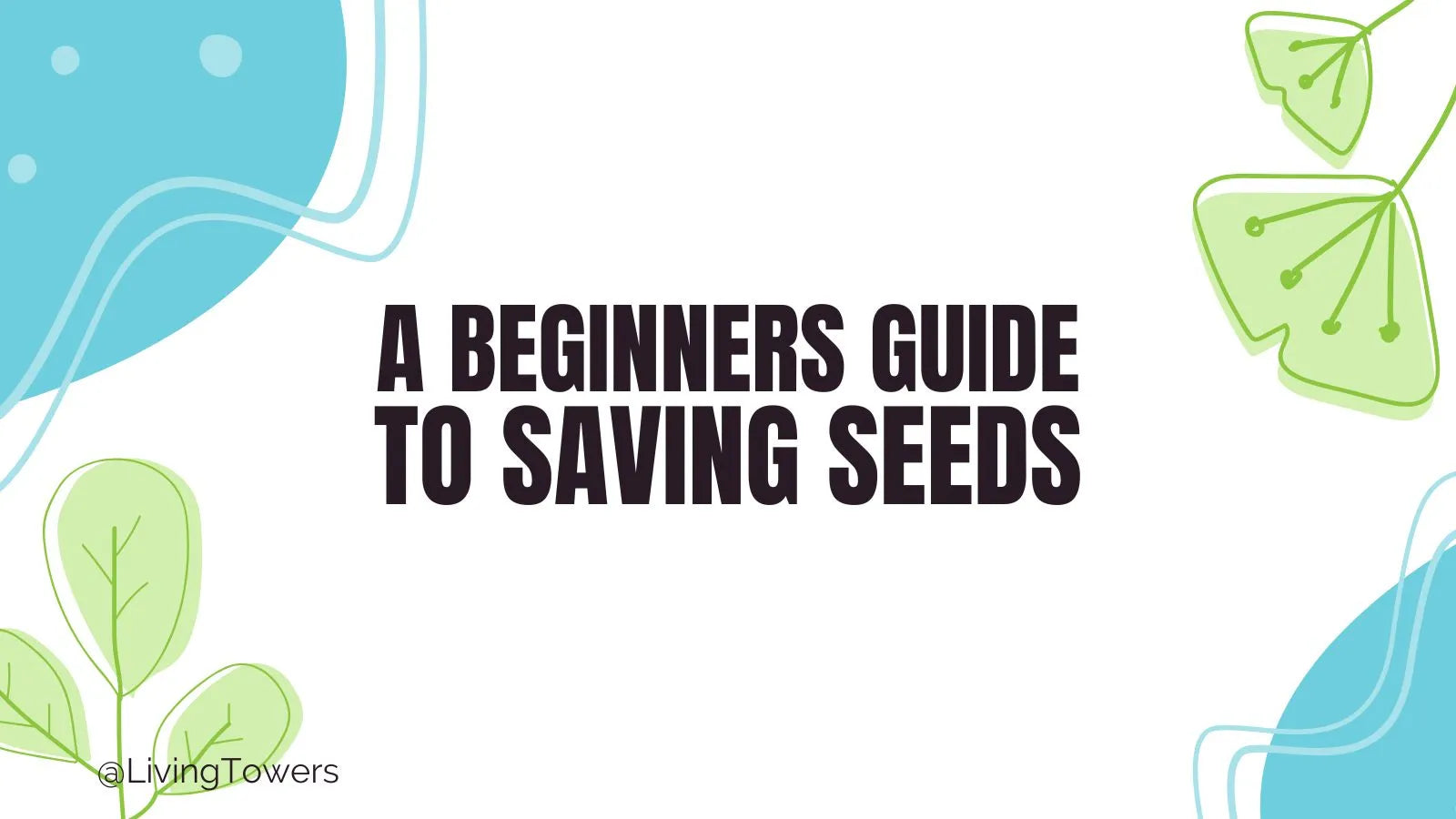 🌾 Save Your Seeds, Save Your Garden: A Beginner-Friendly Guide to Seed ...