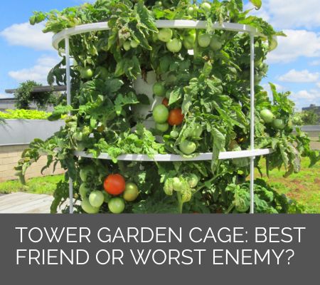 The Tower Garden Support Cage: Best Friend or Worst Enemy? – Living ...